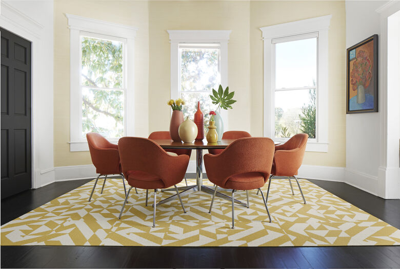 Modern Conversations: Retro Mod Area Rugs in Bold Patterns