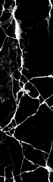 Midnight Mood: Dark Colored High Contrast Area Rugs