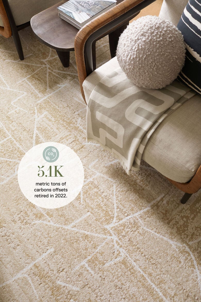 Earth Day, Every Day: Eco-Friendly Area Rugs