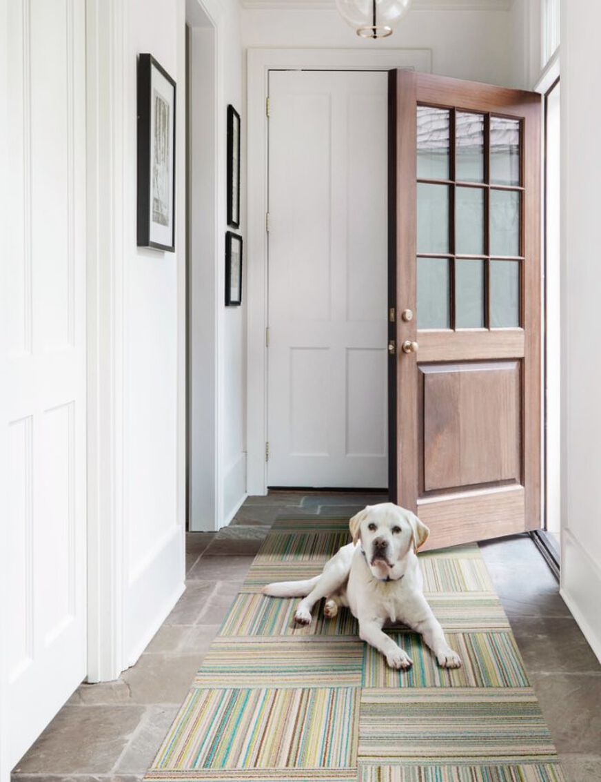 Modern & Stylish Pet-Friendly Washable Area Rug Ideas