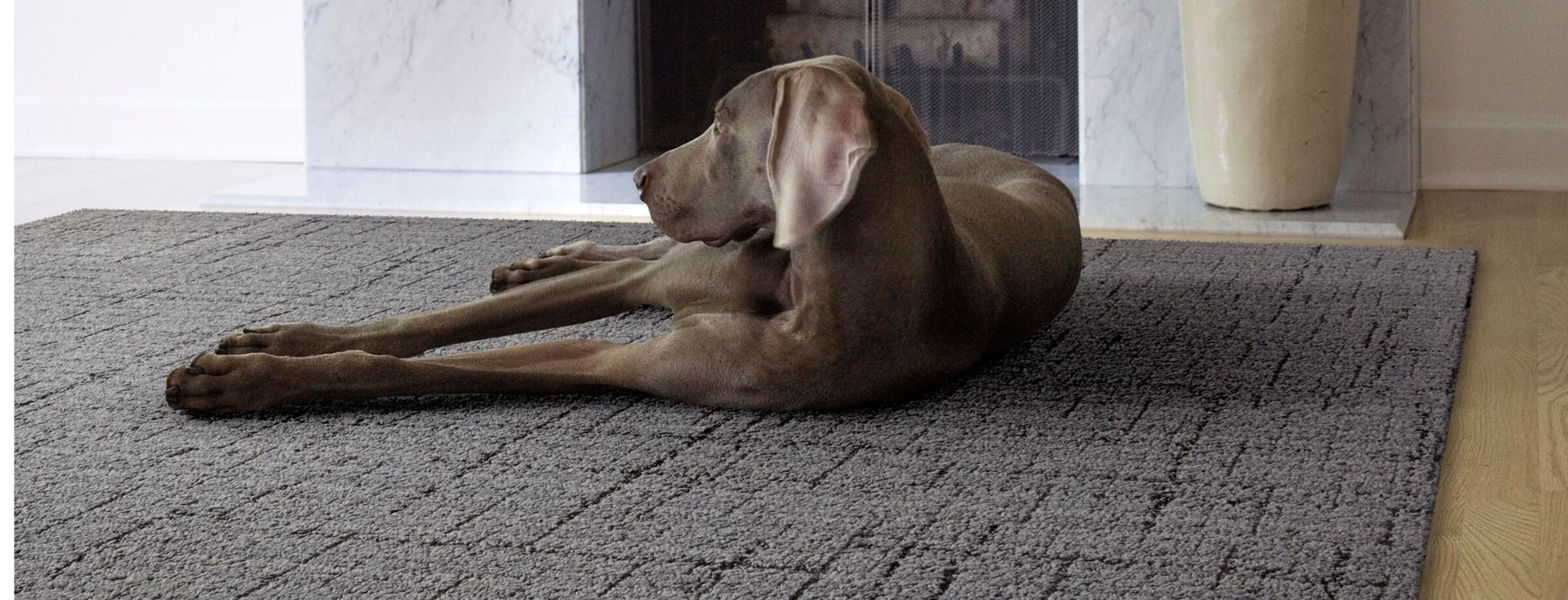 Carry A Torch - Cream: Patterned Area Rugs & Carpet Tiles by FLOR