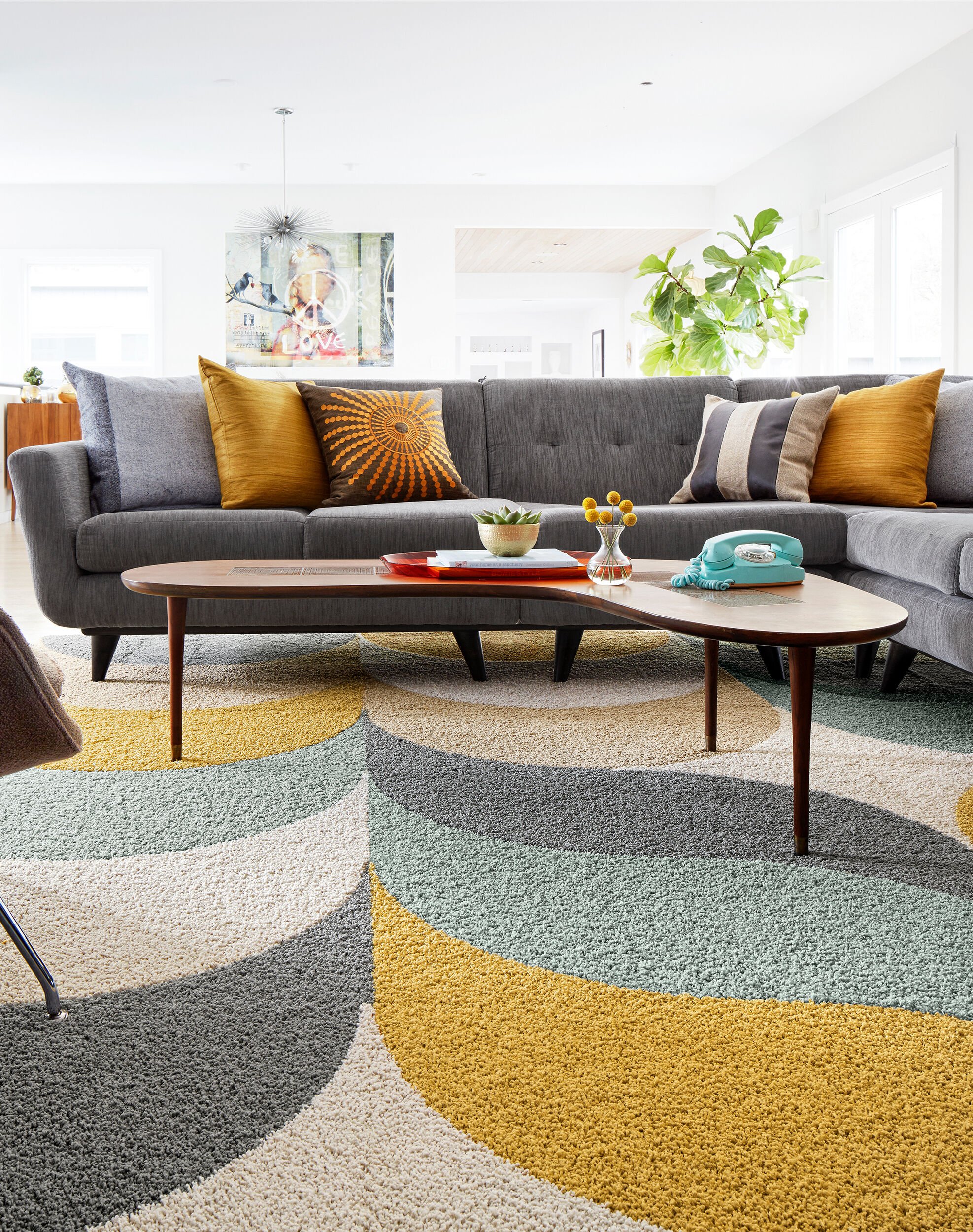Retro Shag Multi 10x12