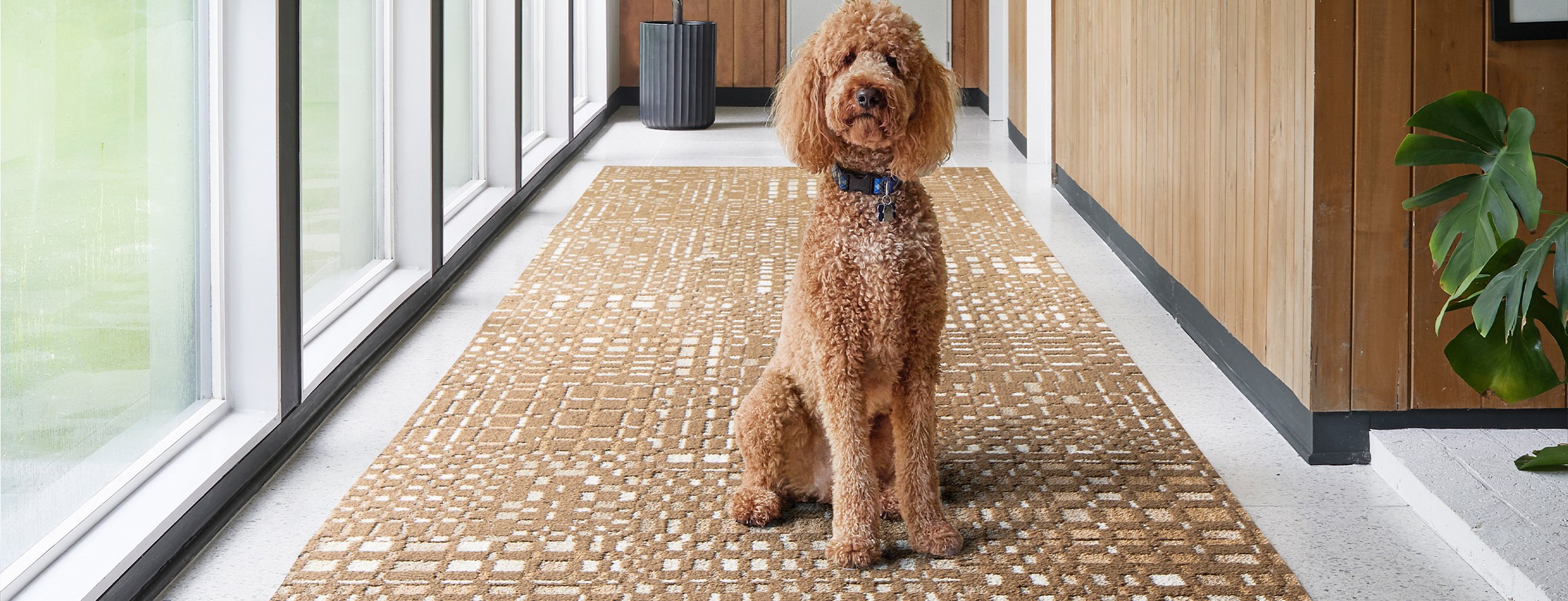 On The Square - Black: All Area Rugs & Carpet Tiles by FLOR